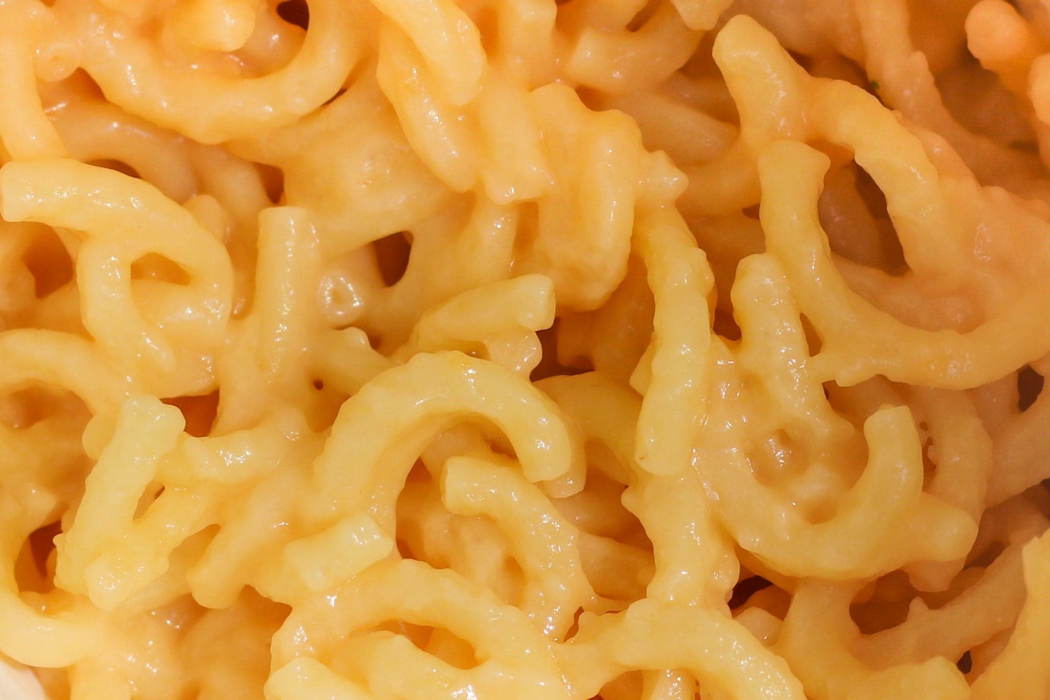 Italian Mac & Cheese Cup | Premium Pasta & Cheese Sauce – Eat Primi